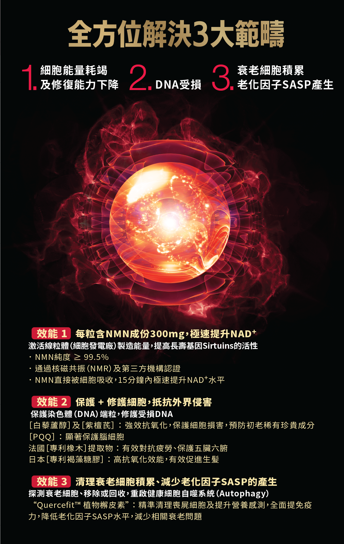 RETURN 回本 Optima NMN 18000 細胞年輕化配方 - 3ChemBio - Your Well-Being Expert